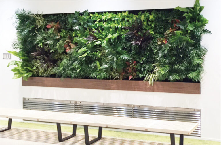 Green Wall Plan - Planterior